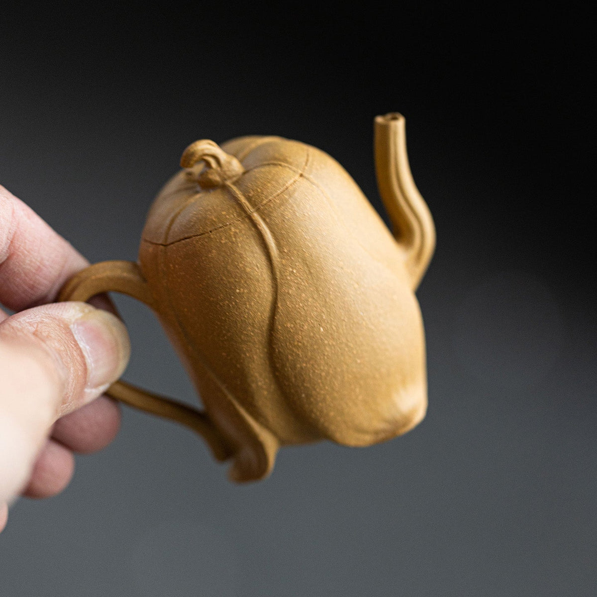 Chu Chen Yixing Teapot and Teacups 80ml/40ml – Yinchen Studio