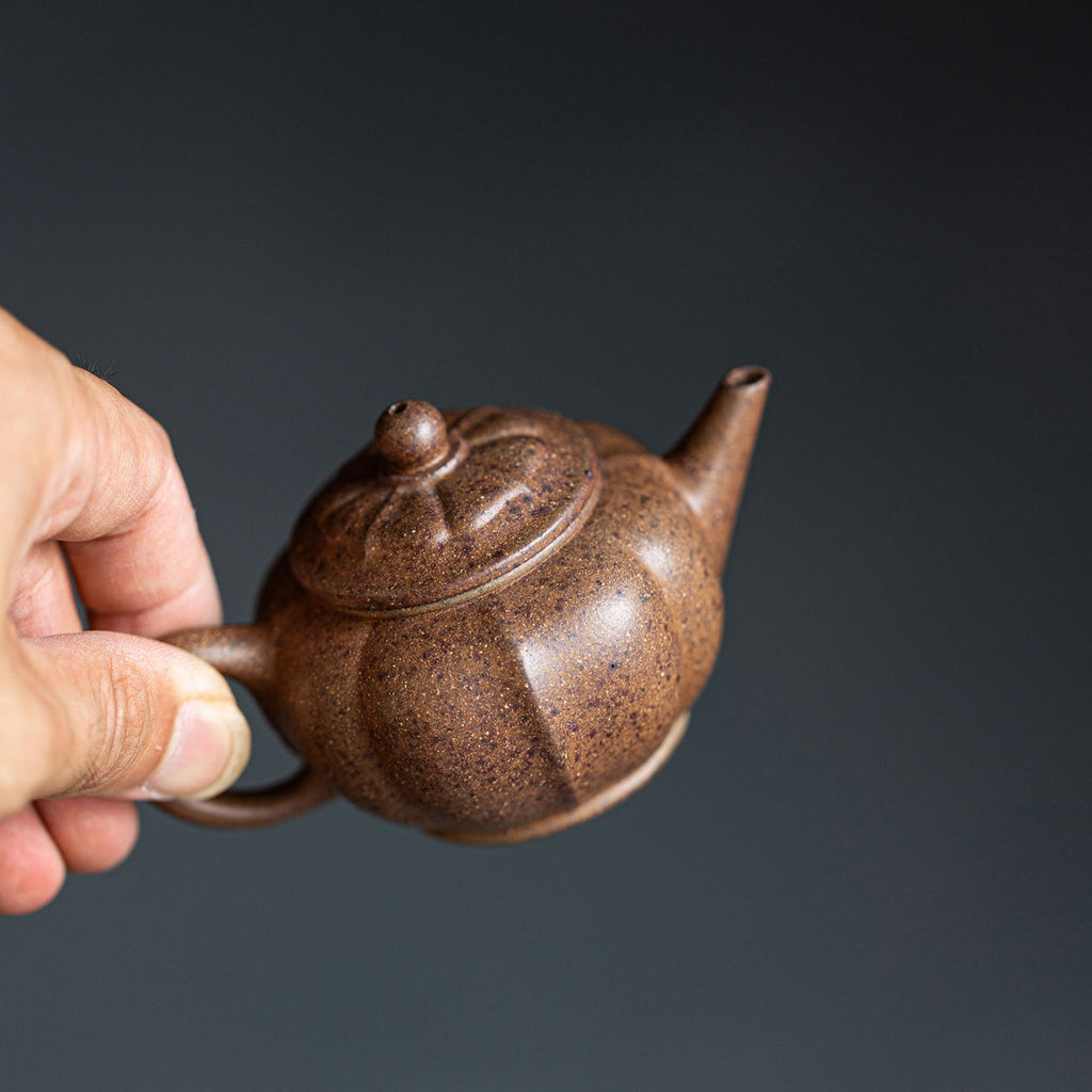 Ling Hua Shui Ping Yixing Teapot 100ml – Yinchen Studio